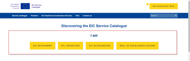 EIC Service Catalogue: How to choose a service provider - EIC Access+